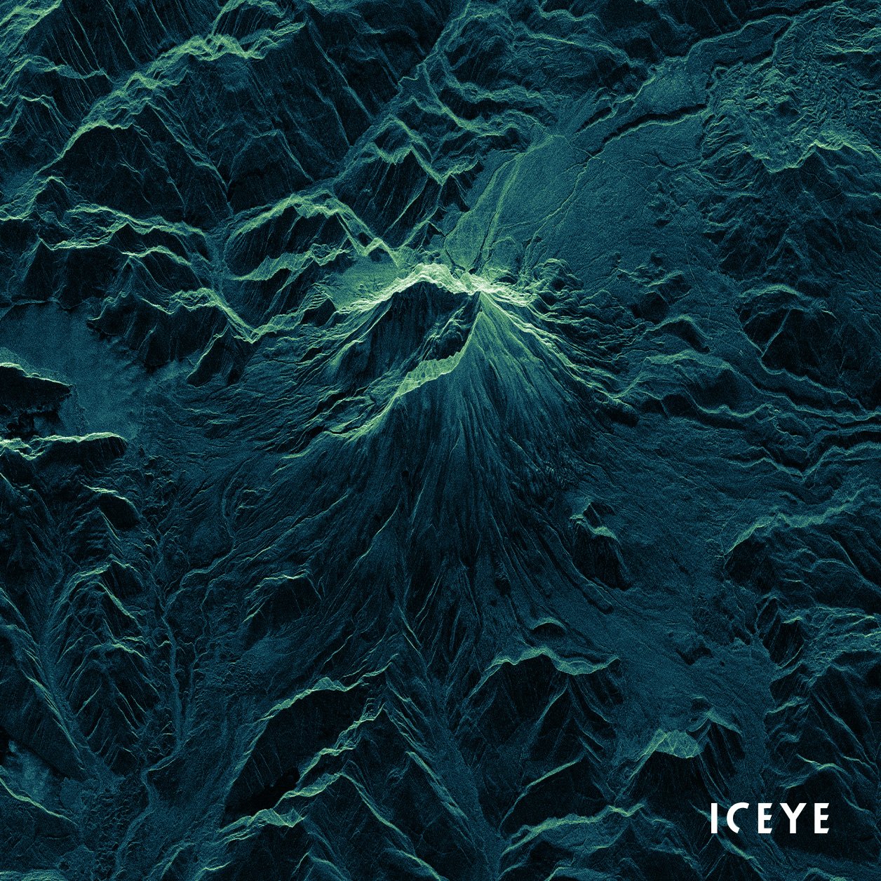 Deforestation and Forest Degradation Monitoring with SAR Satellite Imagery